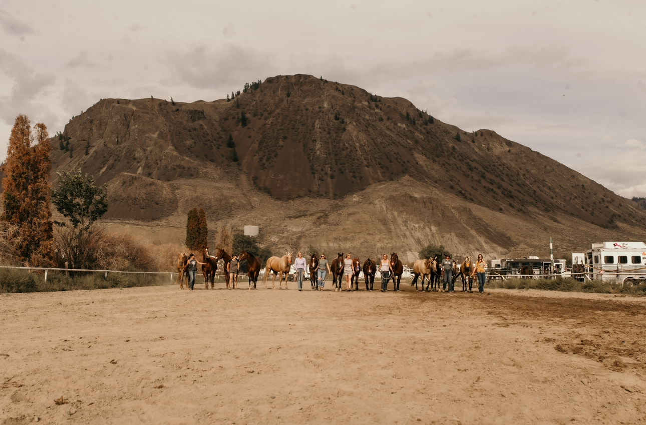 Flair Strips – Special FX Equine Performance Products