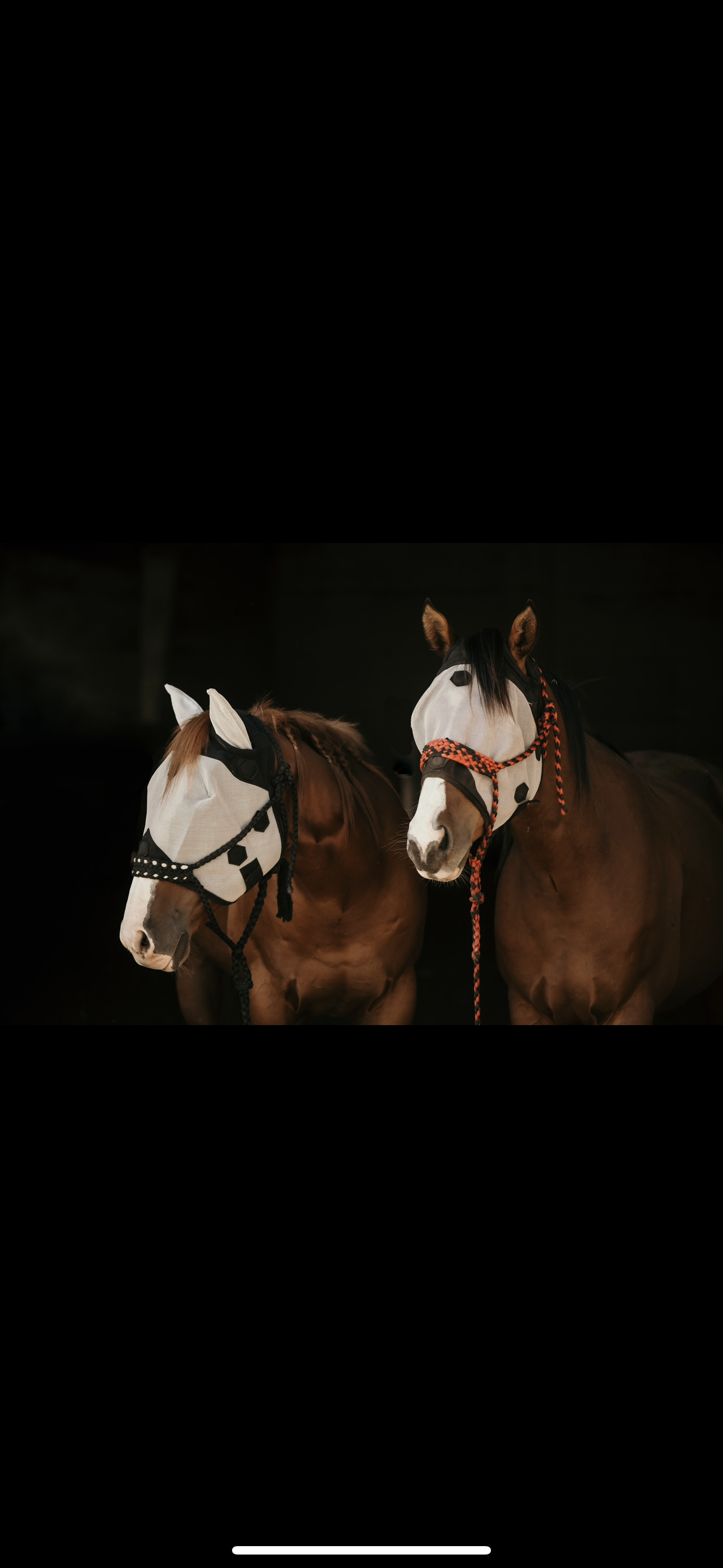 XLR8 Fly Mask – Special FX Equine Performance Products