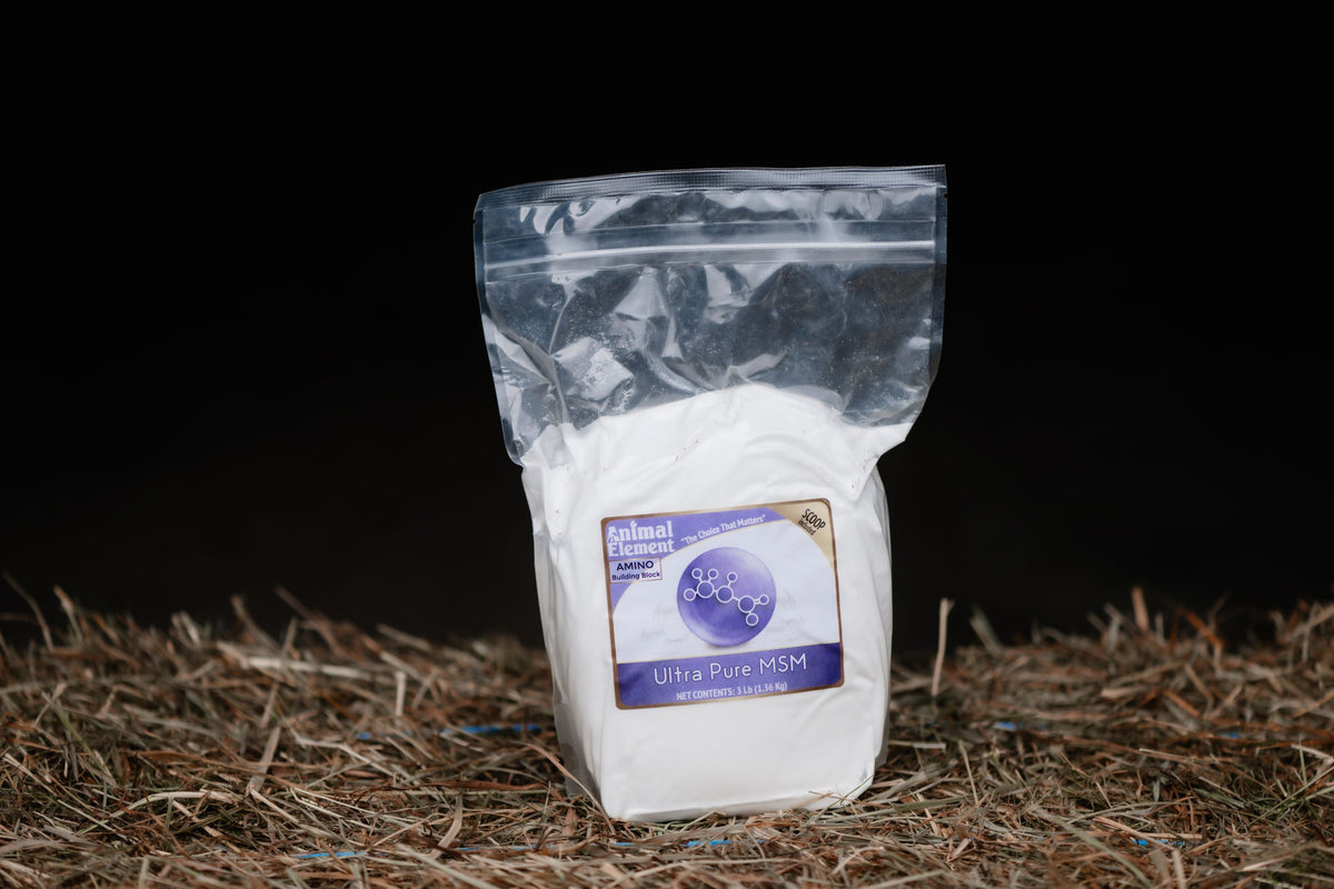 Ultra Pure MSM – Special FX Equine Performance Products